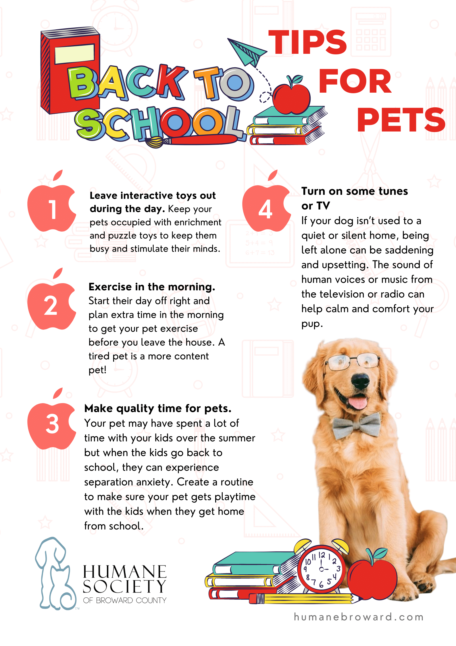Back to School – Tips for your pets - Humane Society of Broward County