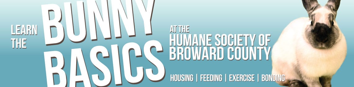 Rabbit Behavior - Humane Society of Broward County