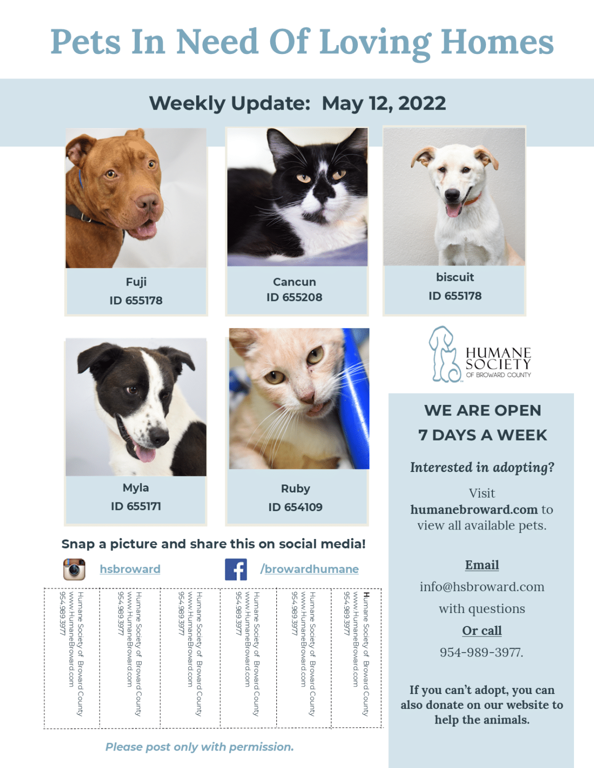 Weekly Pet Flyer: May 12, 2022 - Humane Society of Broward County