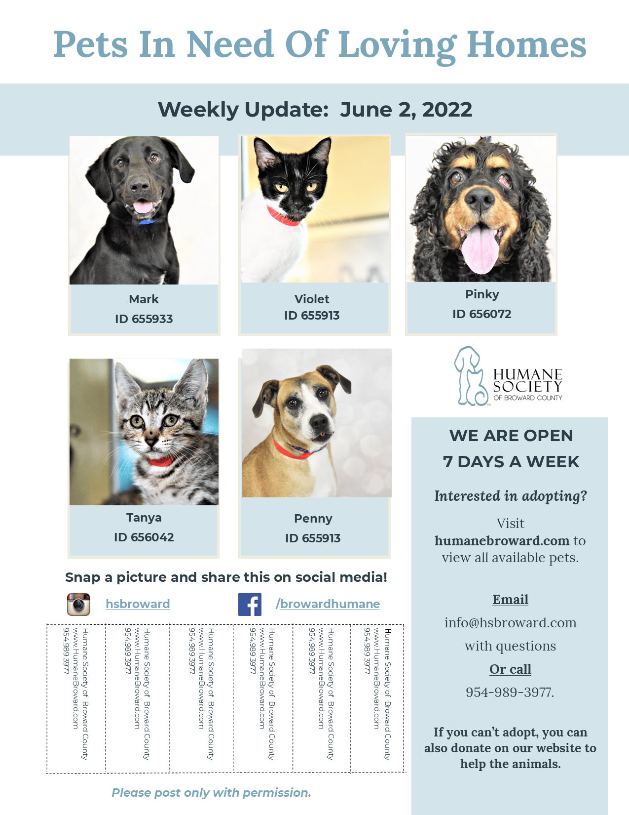 Weekly Pet Flyer: June 2, 2022 - Humane Society of Broward County