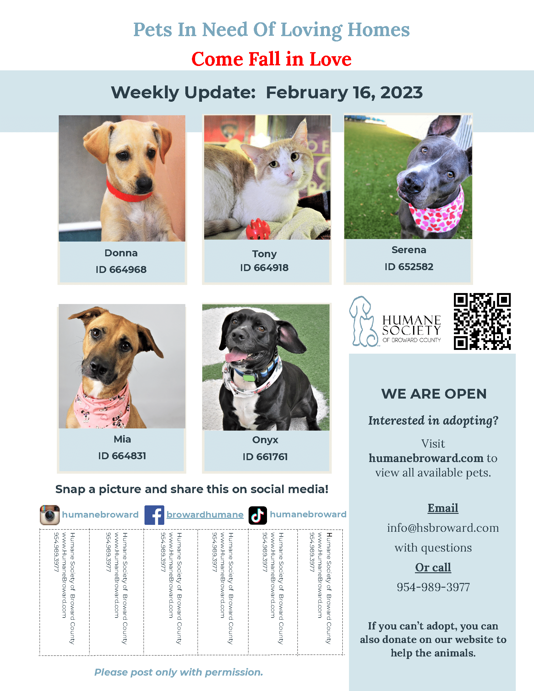 Weekly Pet Flyer: February 16, 2023 - Humane Society of Broward County
