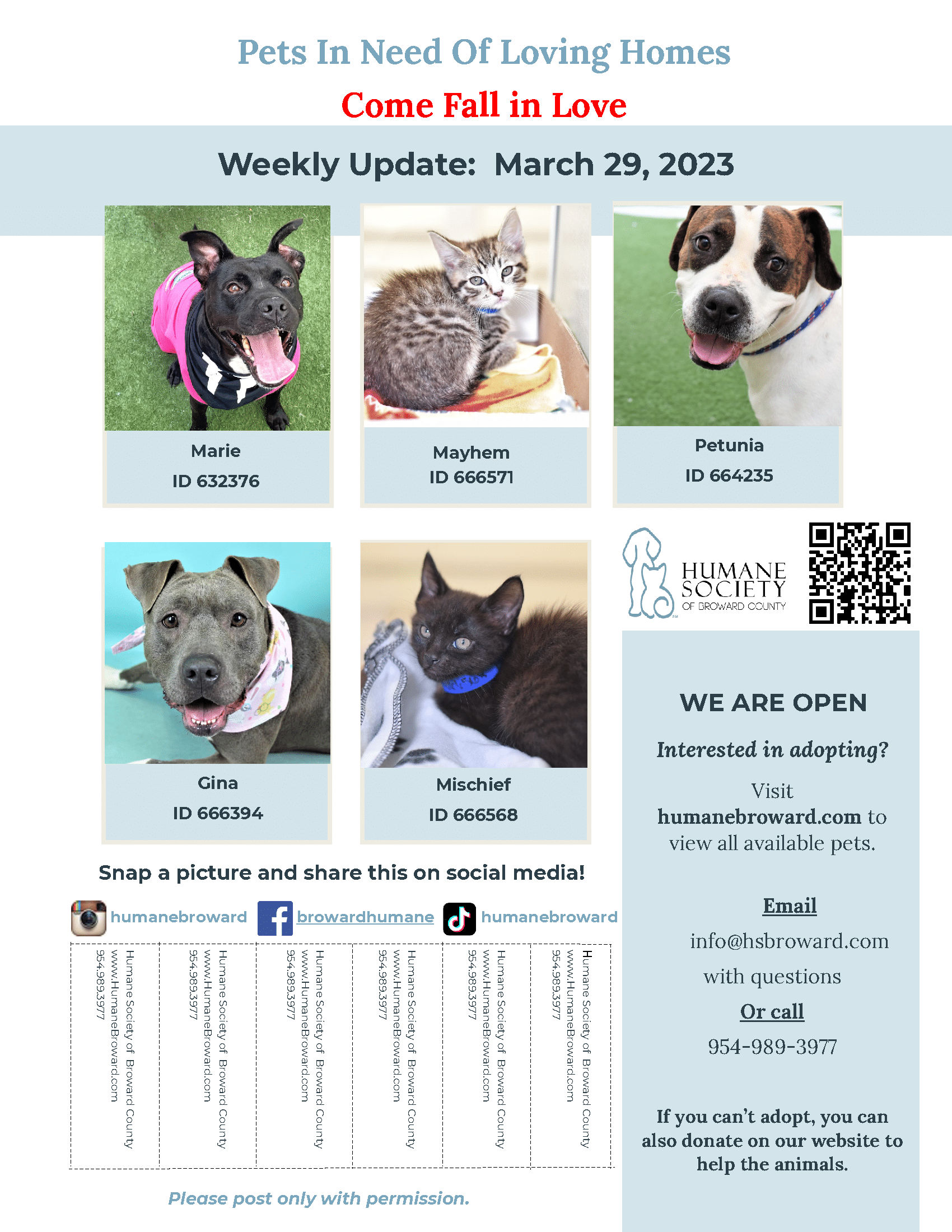 Weekly Pet Flyer: March 29, 2023 - Humane Society of Broward County