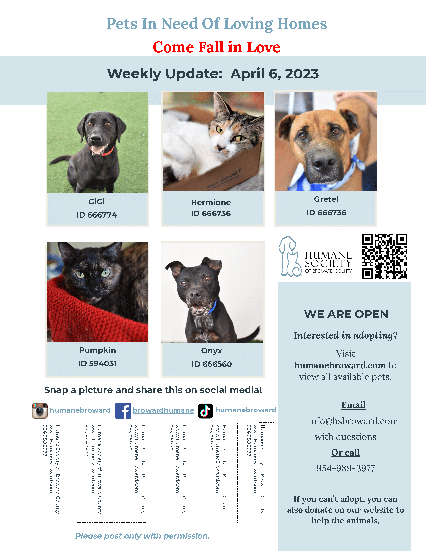 Weekly Pet Flyer: April 6, 2023 - Humane Society of Broward County