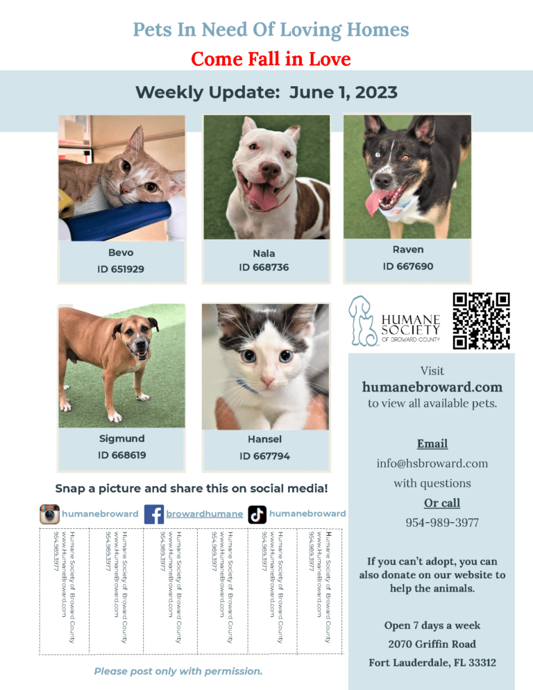 Weekly Pet Flyer: June 1, 2023 - Humane Society of Broward County
