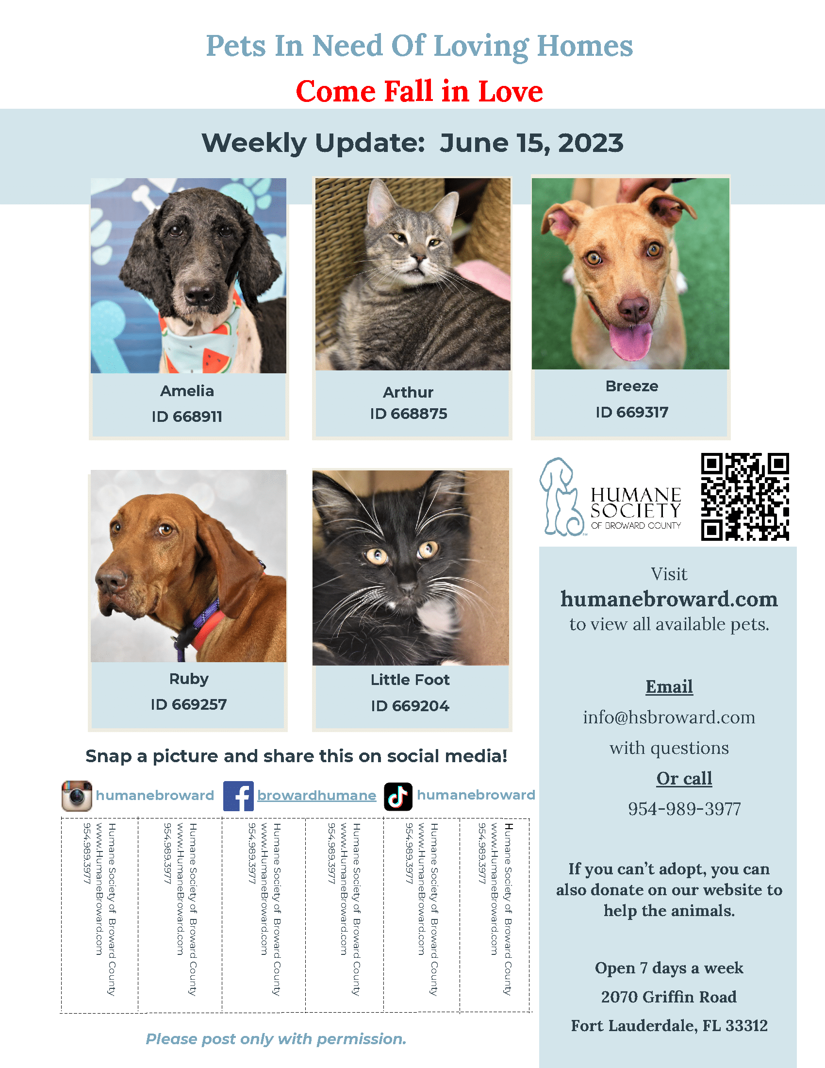 Weekly Pet Flyer: June 15, 2023 - Humane Society of Broward County