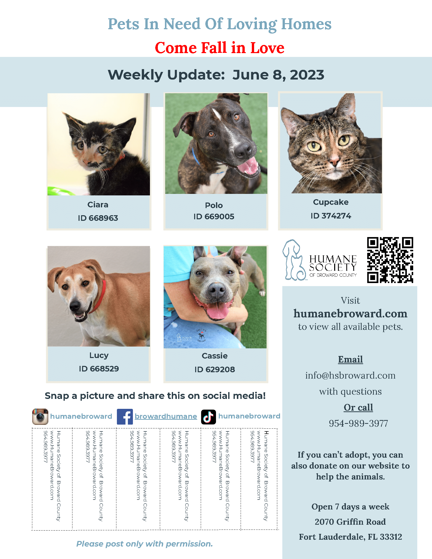 Weekly Pet Flyer: June 8, 2023 - Humane Society of Broward County