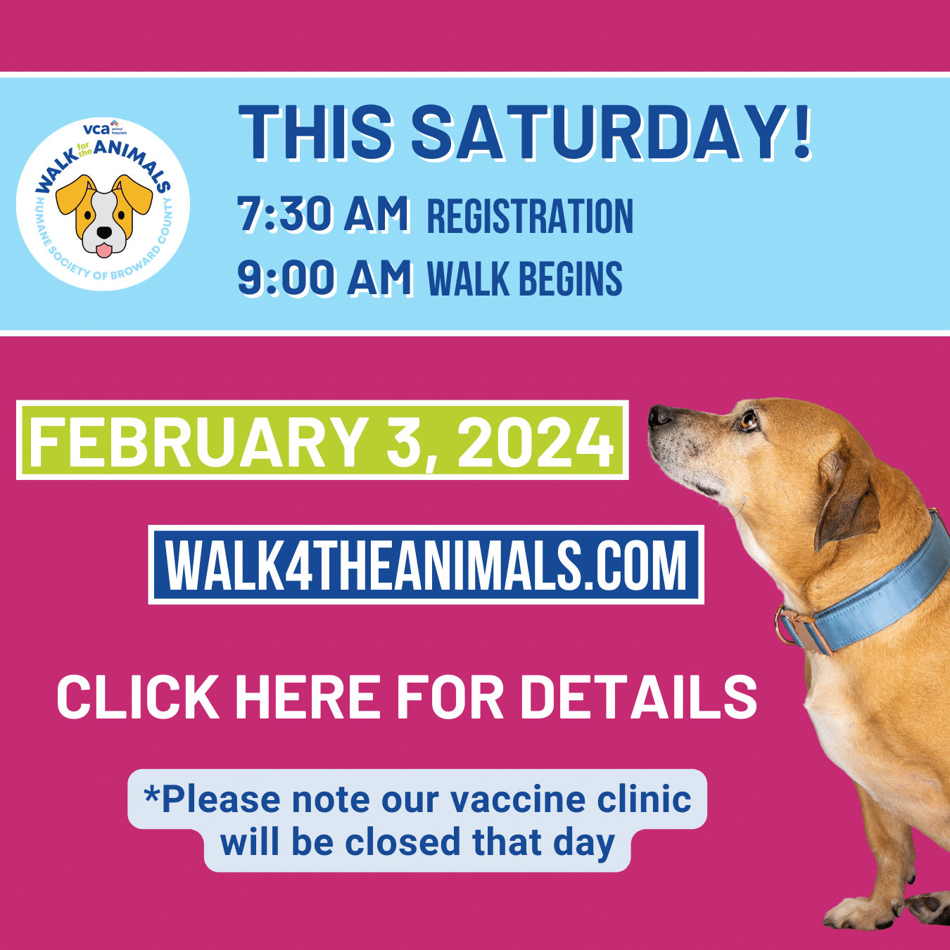 Animal Surrender - Humane Society of Broward County