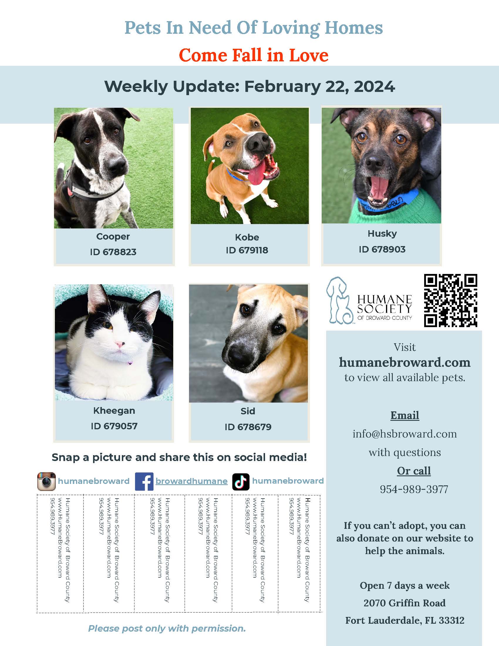 Weekly Pet Flyer: February 22, 2024 - Humane Society of Broward County