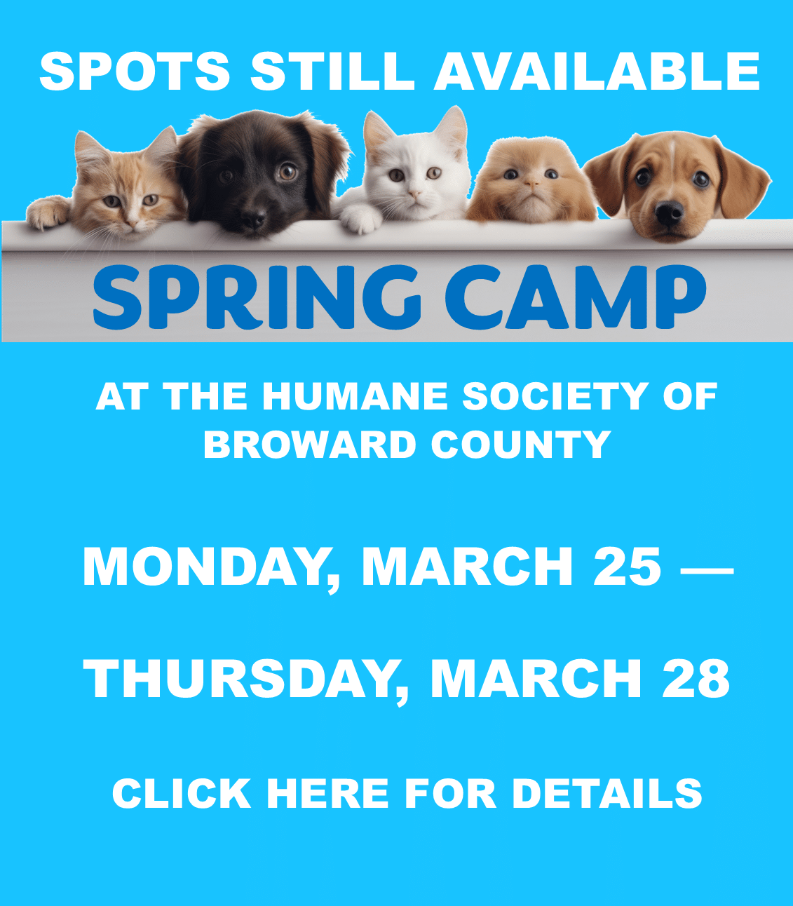 Just the Facts - Humane Society of Broward County