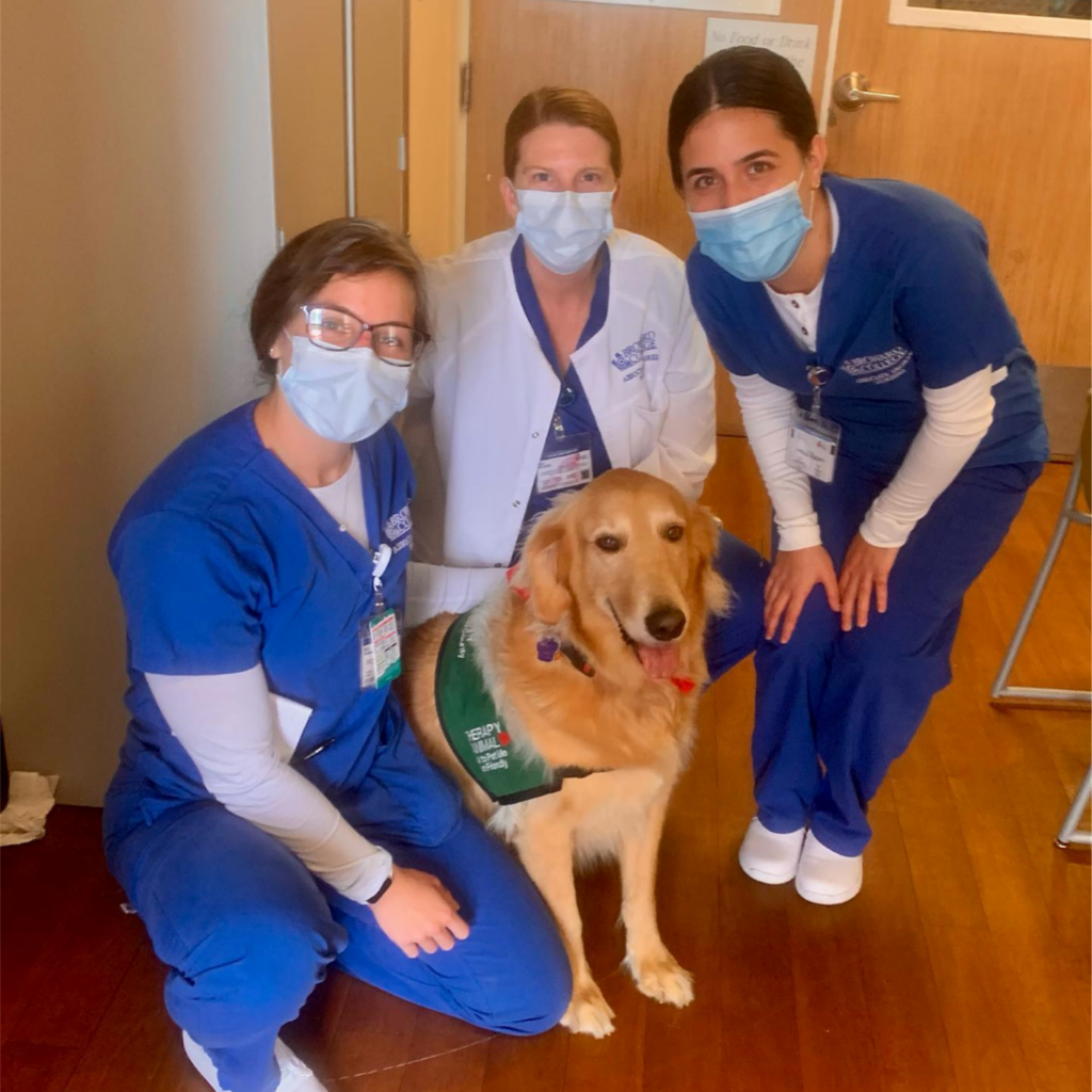 Animal Assisted Therapy - Humane Society of Broward County