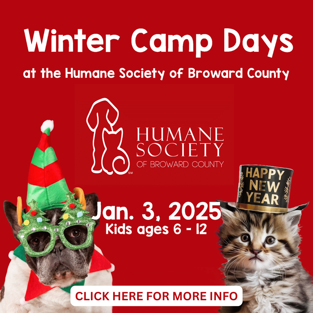 Foster Families Programs - Humane Society of Broward County