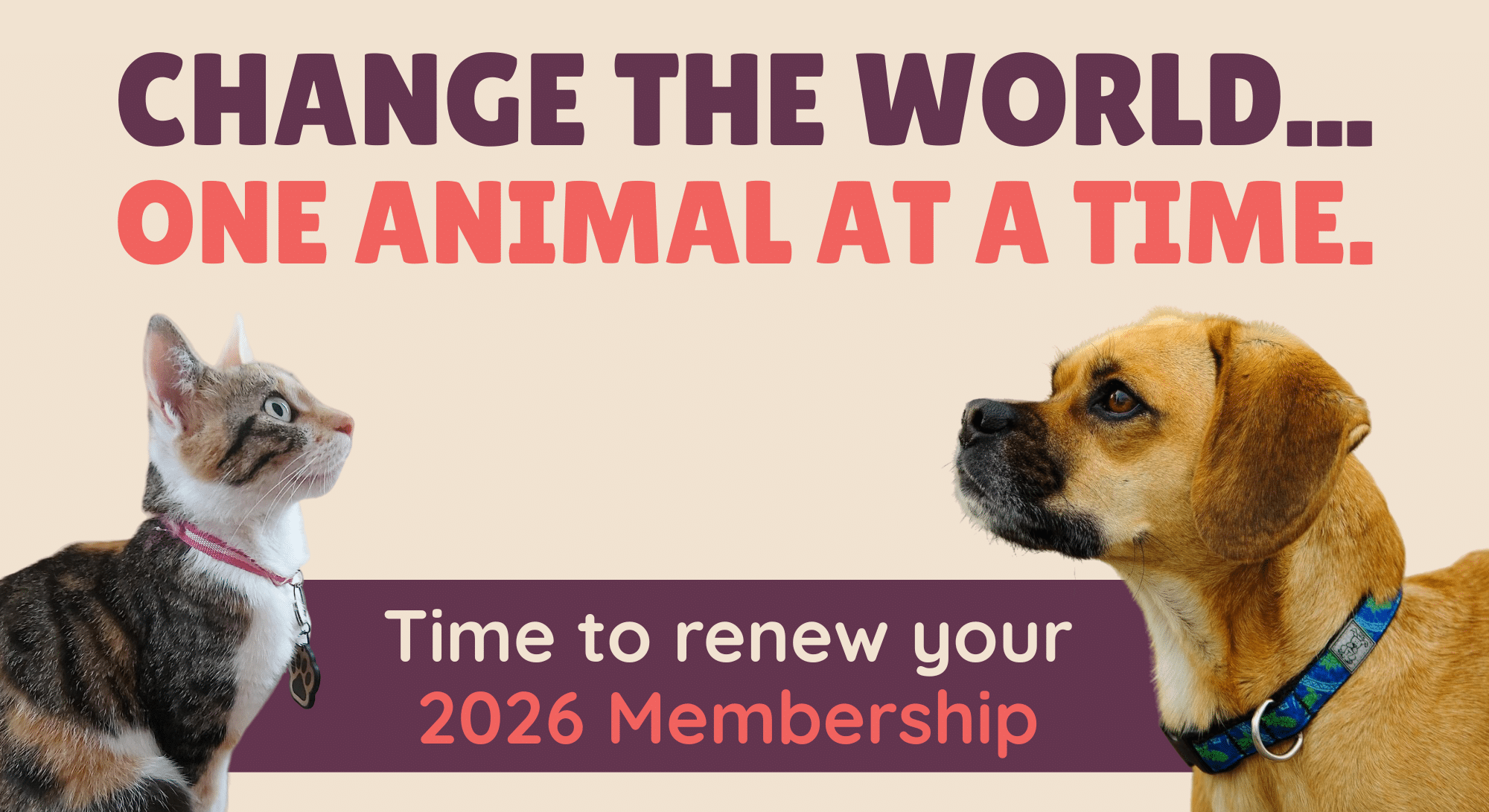Give Today - Humane Society of Broward County